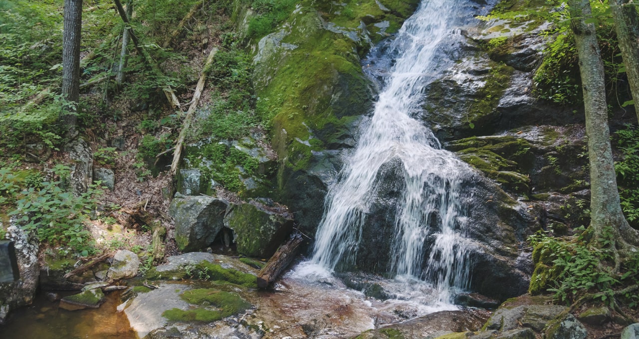 Lago Ranco, Futrono - Turismo