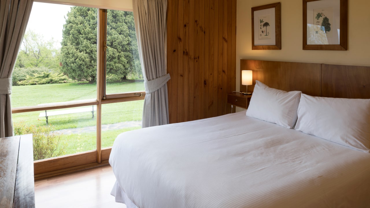 Lago Ranco, Futrono - Turismo