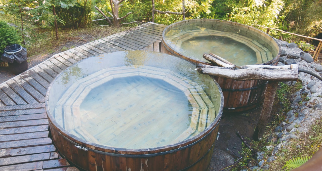 Lago Ranco, Futrono - Turismo