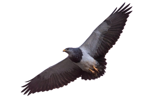 Río Serrano, Torres del Paine - Turismo